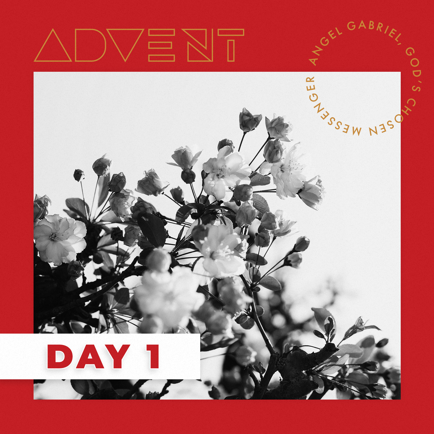 Advent Devotional – Day 1 - New Design Church